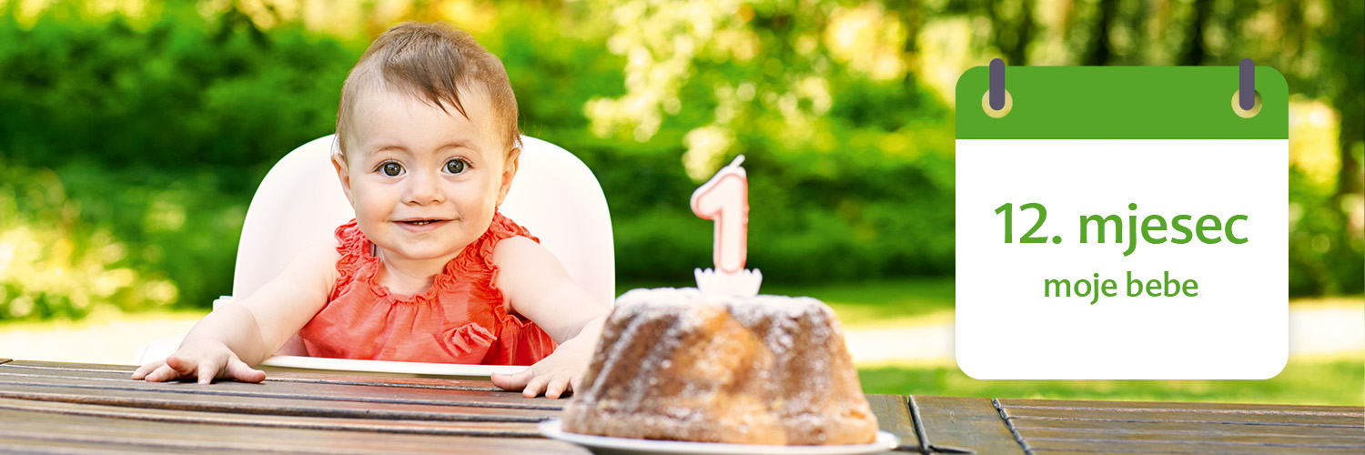 Bebin 12. mjesec » Kalendar razvoja | HiPP BIO